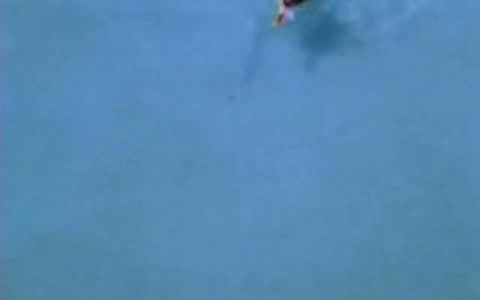 2001 Pool #02 | BumpWorthy.com - adult swim bumps