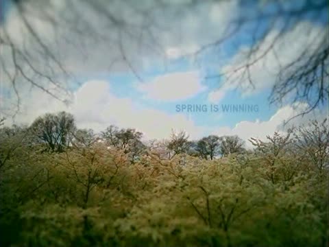 Spring is Winning | BumpWorthy.com - adult swim bumps