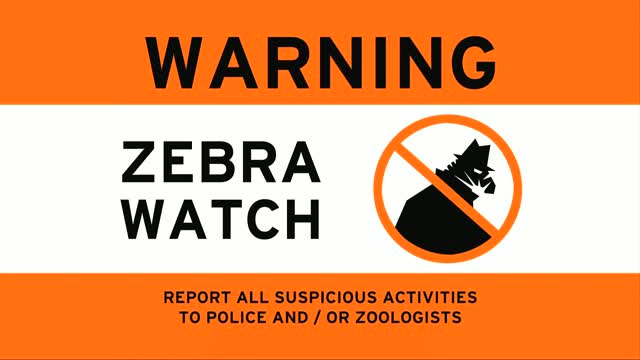 Warning: Zebra Watch | BumpWorthy.com - adult swim bumps