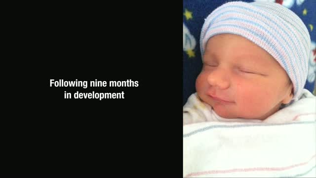 Cole Patrick Aber's Birth | BumpWorthy.com - adult swim bumps