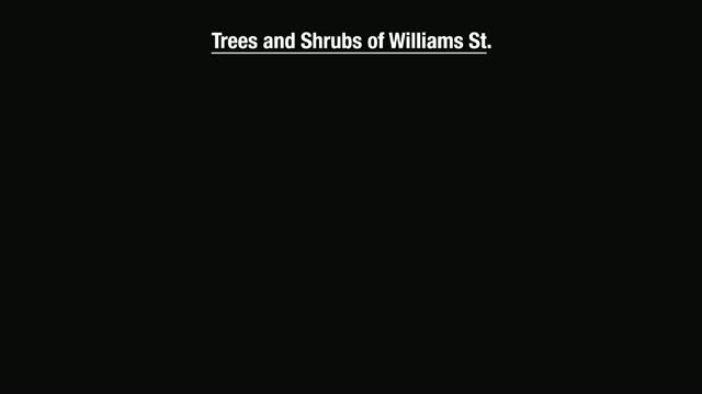 2014 WS Trees and Shrubs | BumpWorthy.com - adult swim bumps