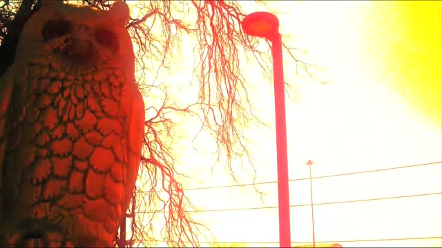 Owl Statue on Sunset | BumpWorthy.com - adult swim bumps